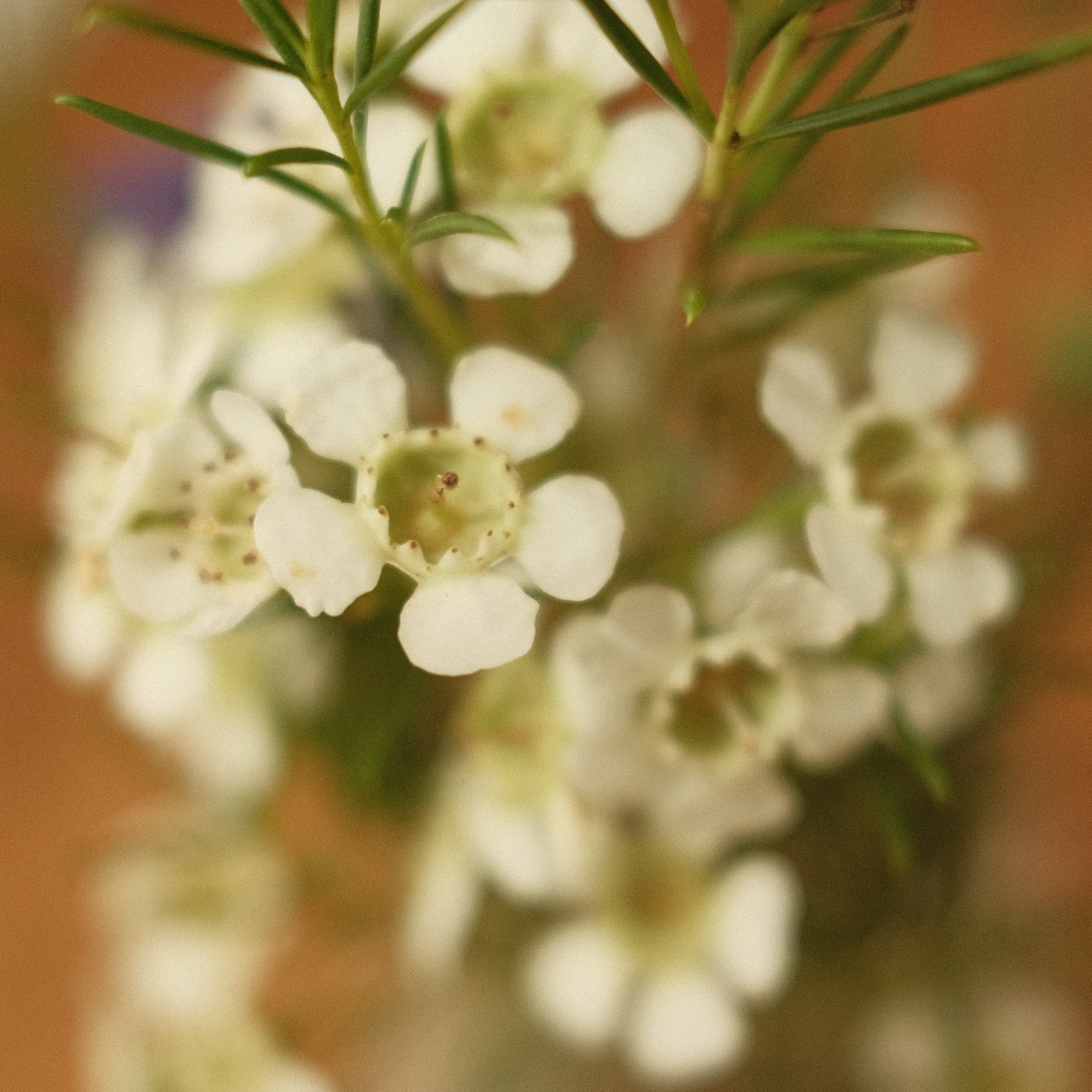 365days Archive - yeeje chen